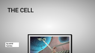 Presentation Name at emaze Presentation