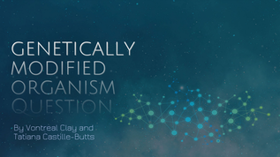 GMO at emaze Presentation