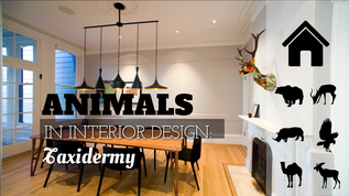 Animals in Interior Design at emaze Presentation