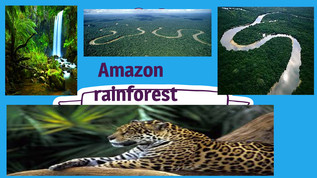 AMAZON RAINFOREST at emaze Presentation