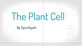 Cell Analogy at emaze Presentation