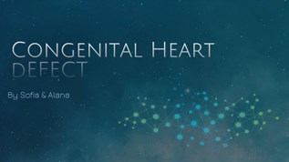 Congenital Heart Defect at emaze Presentation