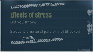 Chapter 8 Lesson 1 at emaze Presentation