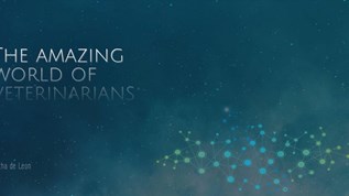 vets at emaze Presentation