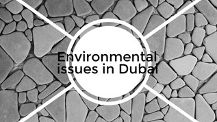 environmental issues in dubai at emaze Presentation