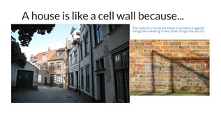 Cell Analogy Project at emaze Presentation