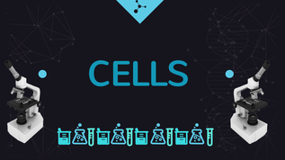 Cells at emaze Presentation