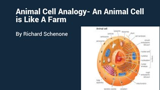 Cell Analogy at emaze Presentation