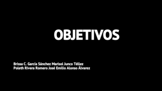 OBJETIVOS.pptx on emaze