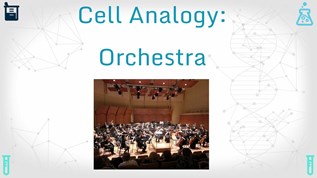 Orchestra Cell Analogy at emaze Presentation