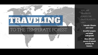 Temperate Forest at emaze Presentation