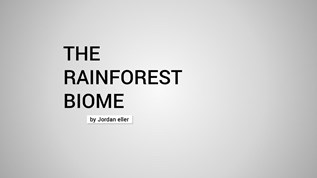 Gallery at emaze Presentation