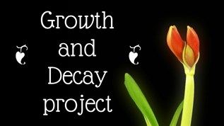 Growth project at emaze Presentation