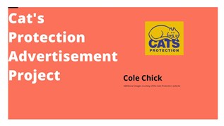 Cats Protection Ad Pitch Presentation at emaze Presentation