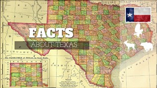 Move to Texas! at emaze Presentation