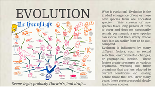 Reading in the Discipline: Evolution at emaze Presentation