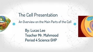 Cell Presentation at emaze Presentation