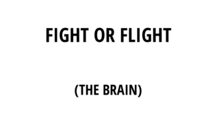 fight or flight and the brain at emaze Presentation