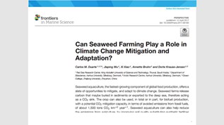 Flow at emaze Presentation