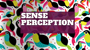 Sense Perception at emaze Presentation