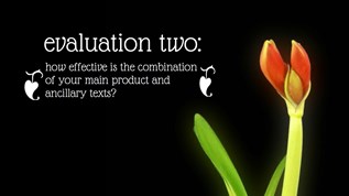 Evaluation two at emaze Presentation