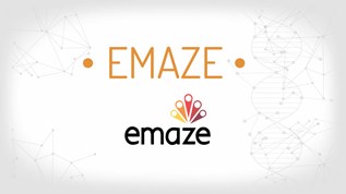 Emaze at emaze Presentation
