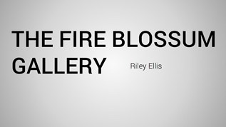 Gallery-Riley Ellis at emaze Presentation
