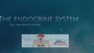 Endocrine system at emaze Presentation