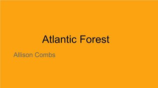 Atlantic Forest at emaze Presentation
