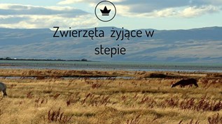 Health at emaze Presentation