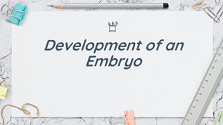 Development of an Embryo at emaze Presentation