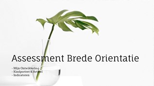 Brede Orientatie at emaze Presentation