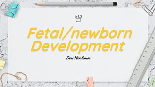 Fetal Development at emaze Presentation