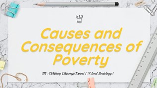 Causes and Consequences of Poverty at emaze Presentation