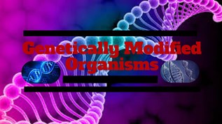 GMO at emaze Presentation