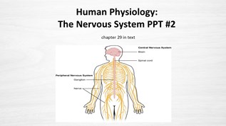 Perception at emaze Presentation