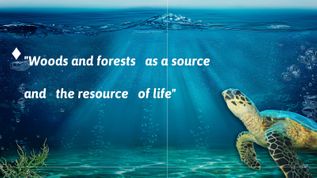 Woods and forests as source and the resource of life at emaze Presentation