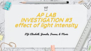 Light Intensity at emaze Presentation