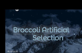 Broccoli selection at emaze Presentation