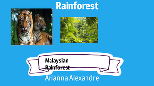 Rainforest at emaze Presentation