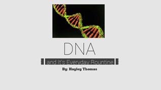 Ap Bio DNA Replication at emaze Presentation