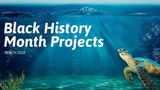 BHM Project Guidelines at emaze Presentation