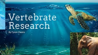 Vertebrate Research at emaze Presentation