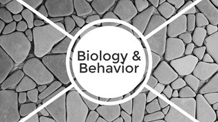 Biology and Behavior at emaze Presentation
