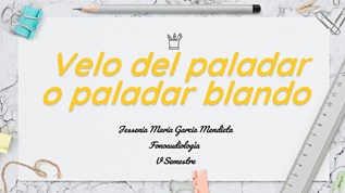 Velo del paladar at emaze Presentation