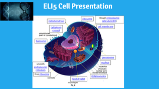 cell at emaze Presentation