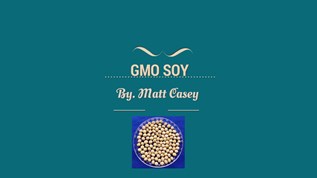 Gmo soy at emaze Presentation