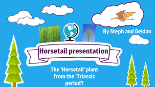 horsetail plant triassic period science presentation at emaze Presentation