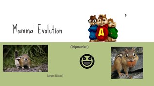 Evolution Project at emaze Presentation