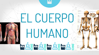 El Cuerpo Humano At Emaze Presentation